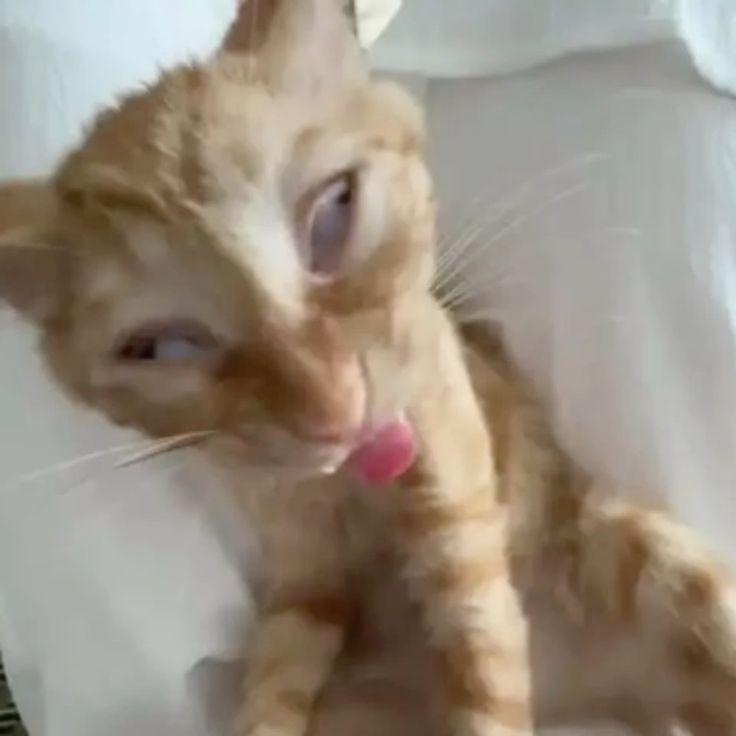 DEPOBOS: Link Slot Online 88 Gampang Maxwin Hari Ini 2025