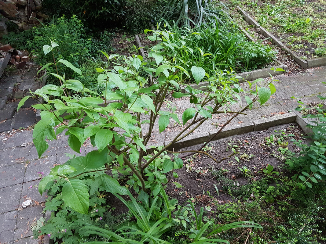 20190509 193012 — Postimages
