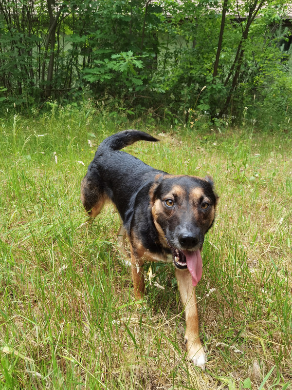 IMG 20240618 121347 — Postimages