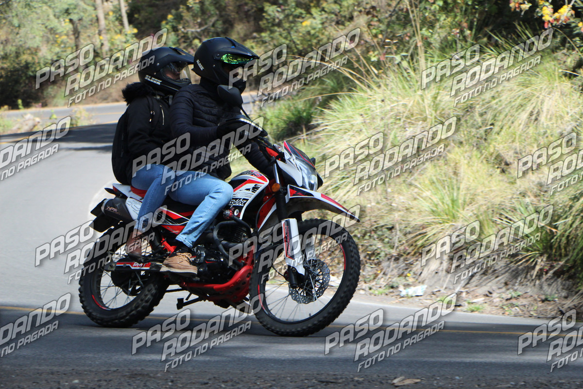 IMG 8331 wm 6907493 1 watermarked — Postimages