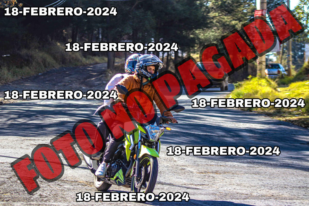 CR 137 — Postimages