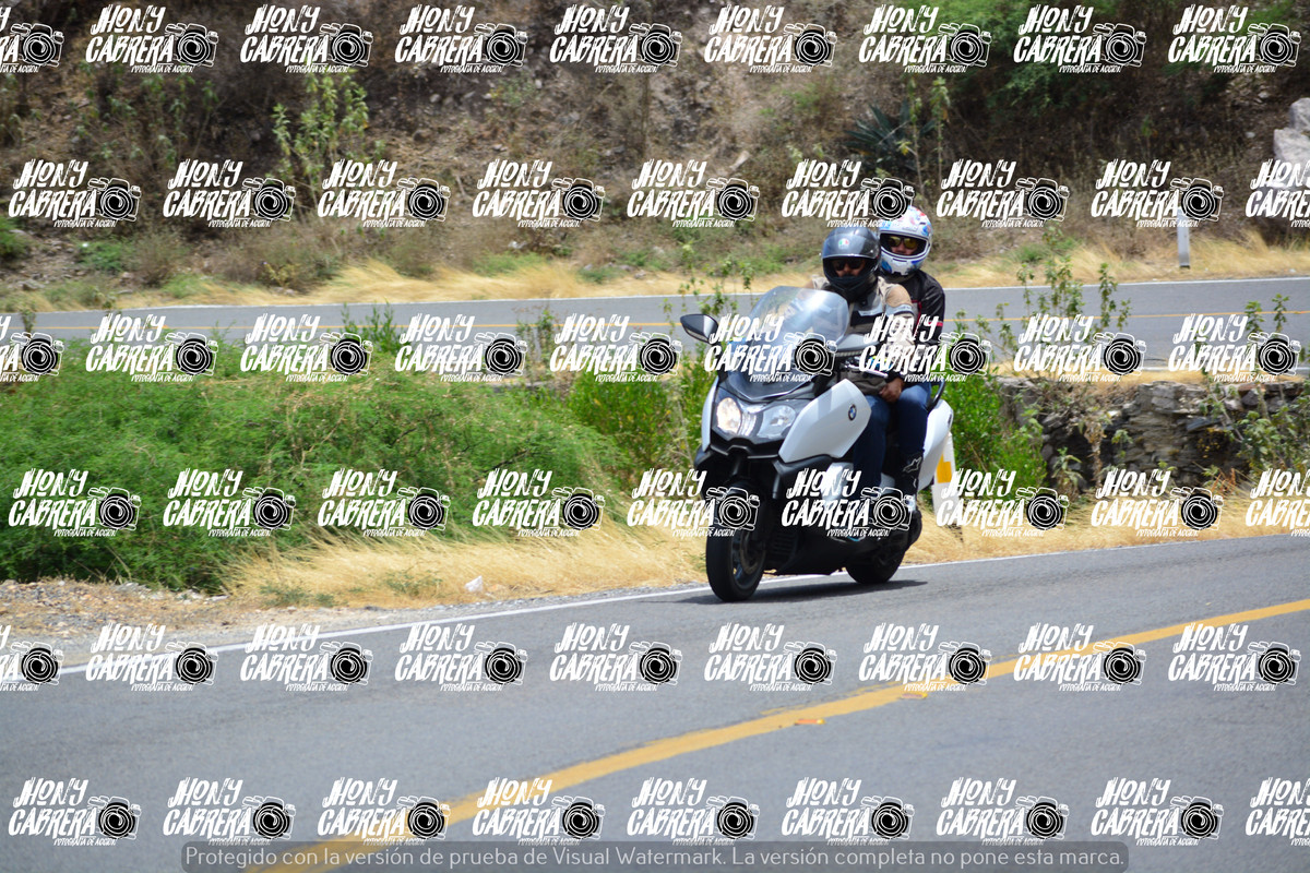 DSC 0451 — Postimages