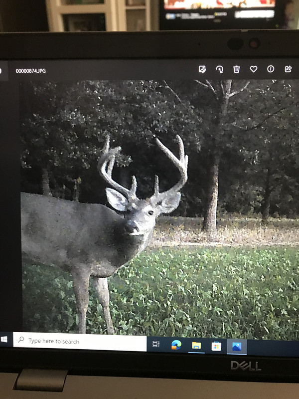 4 AA13154 65 A1 40 E4 9 B58 04 BB7 BB0 F1 D8 — Postimages