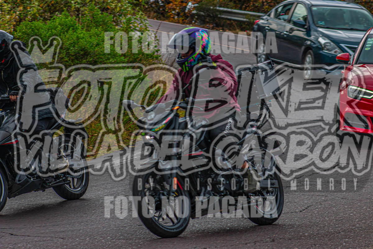 cv 135 — Postimages