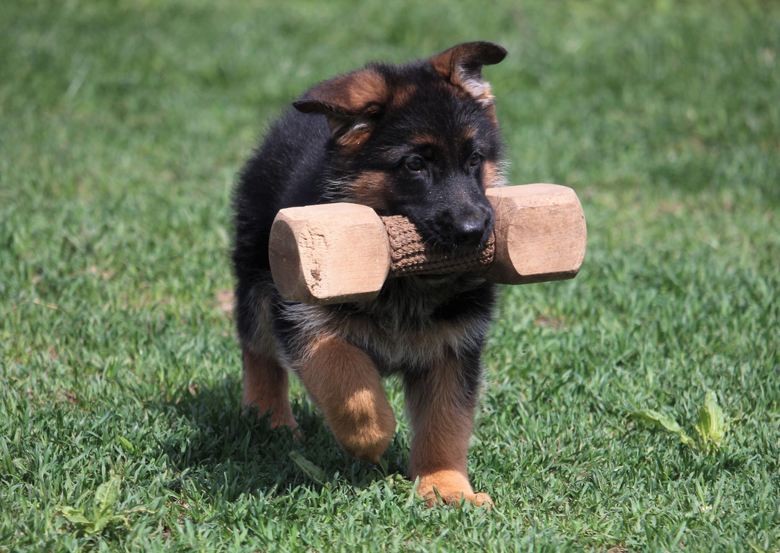 IMG 6067 — Postimages