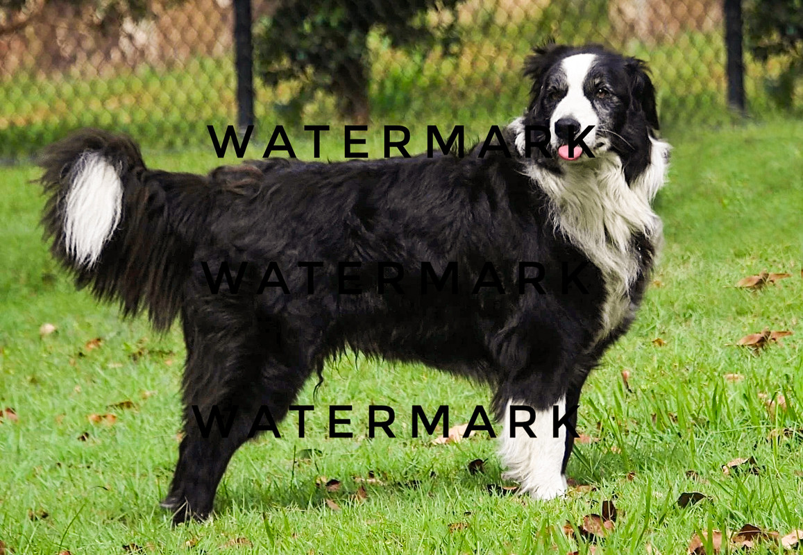 SAVE 20221108 115229 edited — Postimages