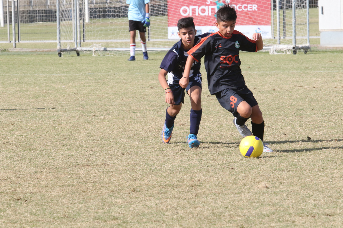 KOS 8306 — Postimages