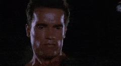 Arnold Schwarzeneggers best movie > General Discussion > AR15.COM