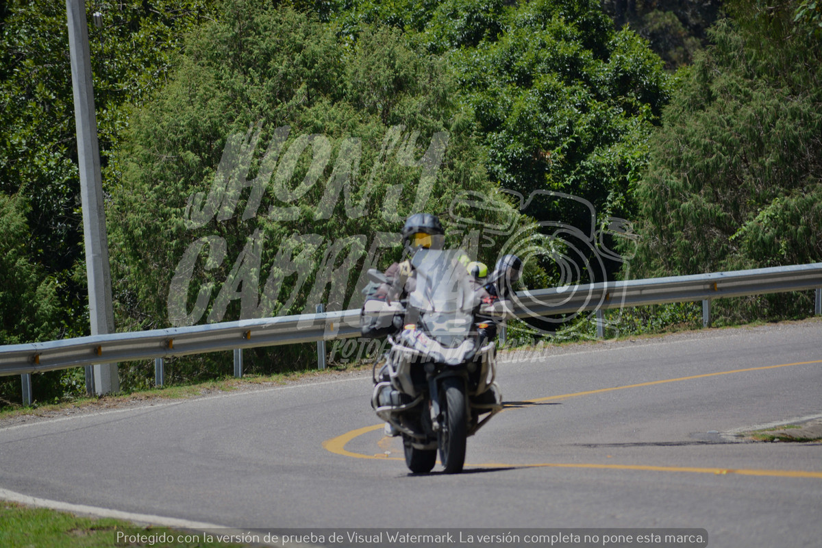 DSC 1247 — Postimages