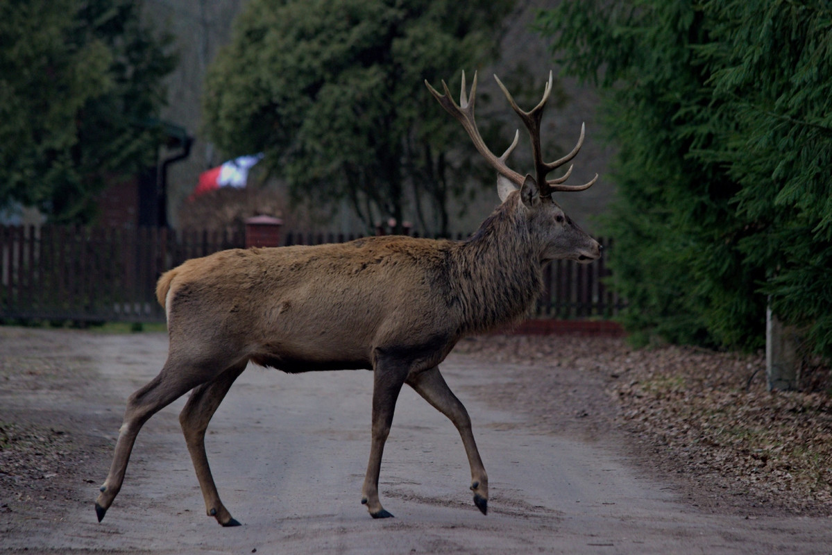 IMG 7294 Edited — Postimages