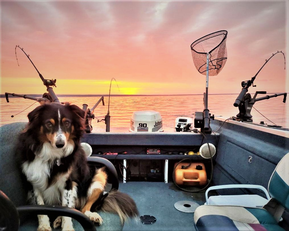 thumbnail 19 — Postimages