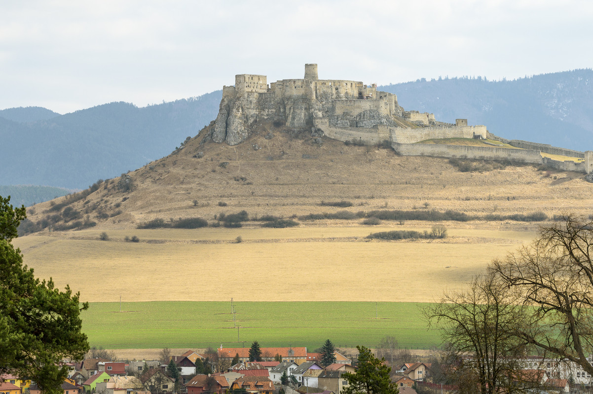 DSC 0684 — Postimages