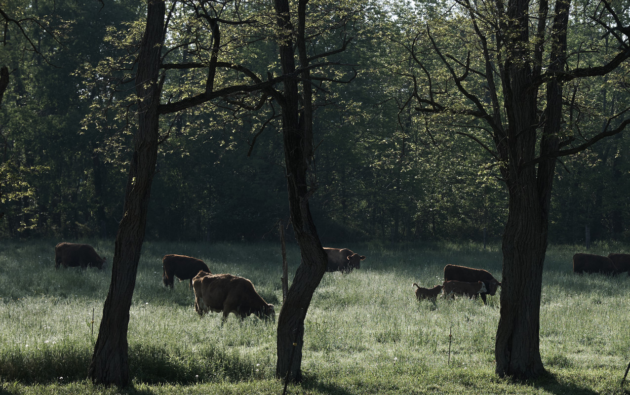 md18 20 — Postimages