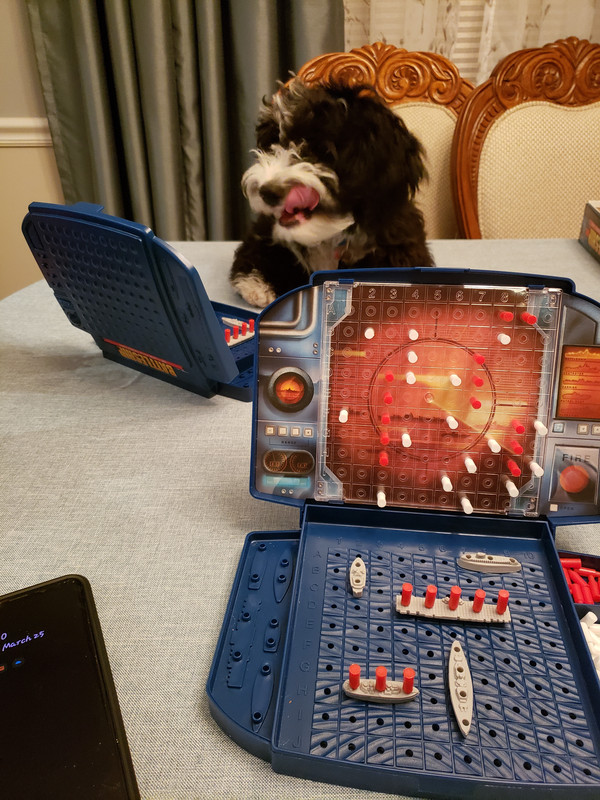 20200325 223039 — Postimages