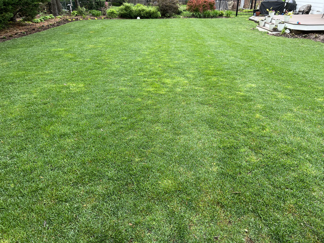 IMG 2371 — Postimages