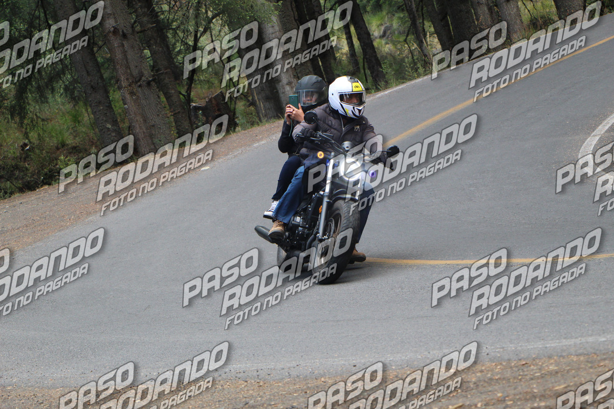 IMG 8696 wm 9040749 200000001 watermarked — Postimages