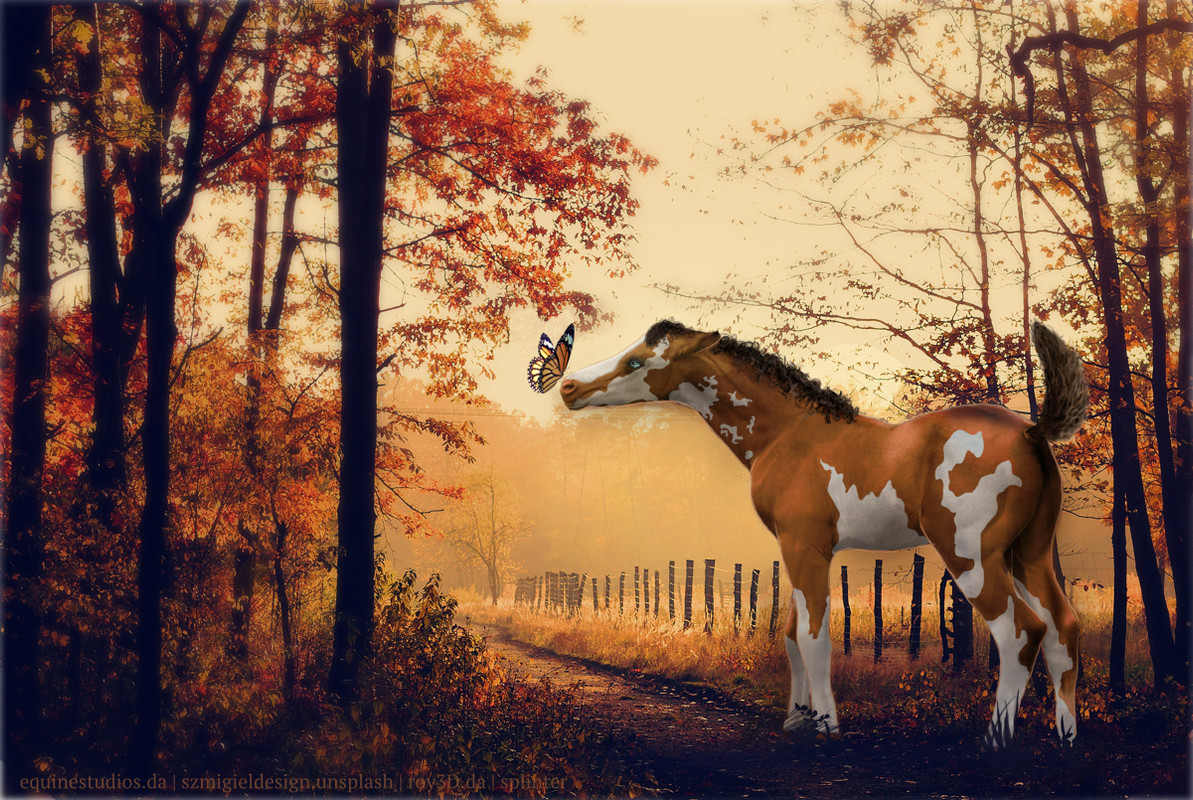 foal the 3rd — Postimages