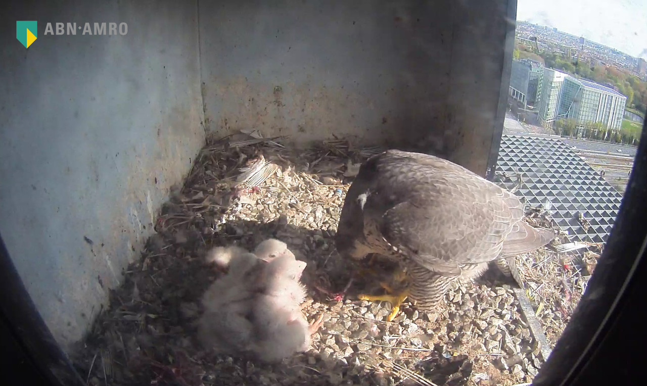 8 C4 CD075 76 C4 40 A2 93 F7 4 B0 E899 D7465 — Postimages