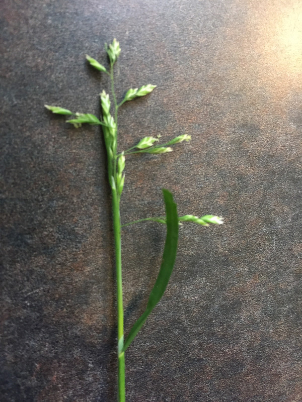 Full Size Render 5 — Postimages