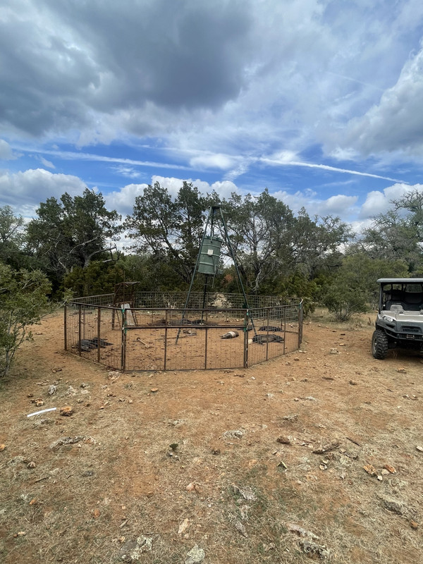 IMG 9030 — Postimages