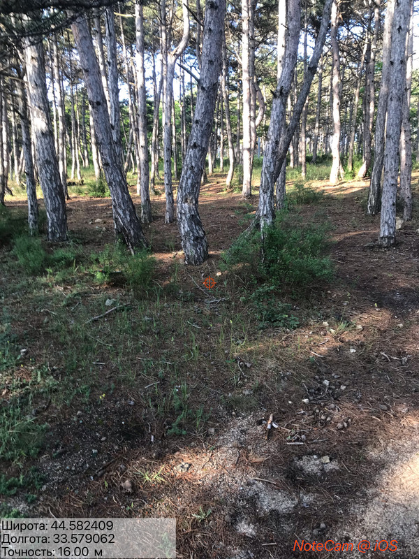 9 ECC27 E3 F54 D 4 DCA B396 BEC3 E296 F709 — Postimages