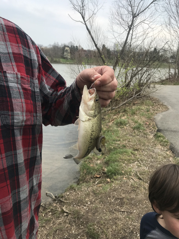 Texas Rigging a Grub - Page 2 - Fishing Tackle - Bass Fishing Forums