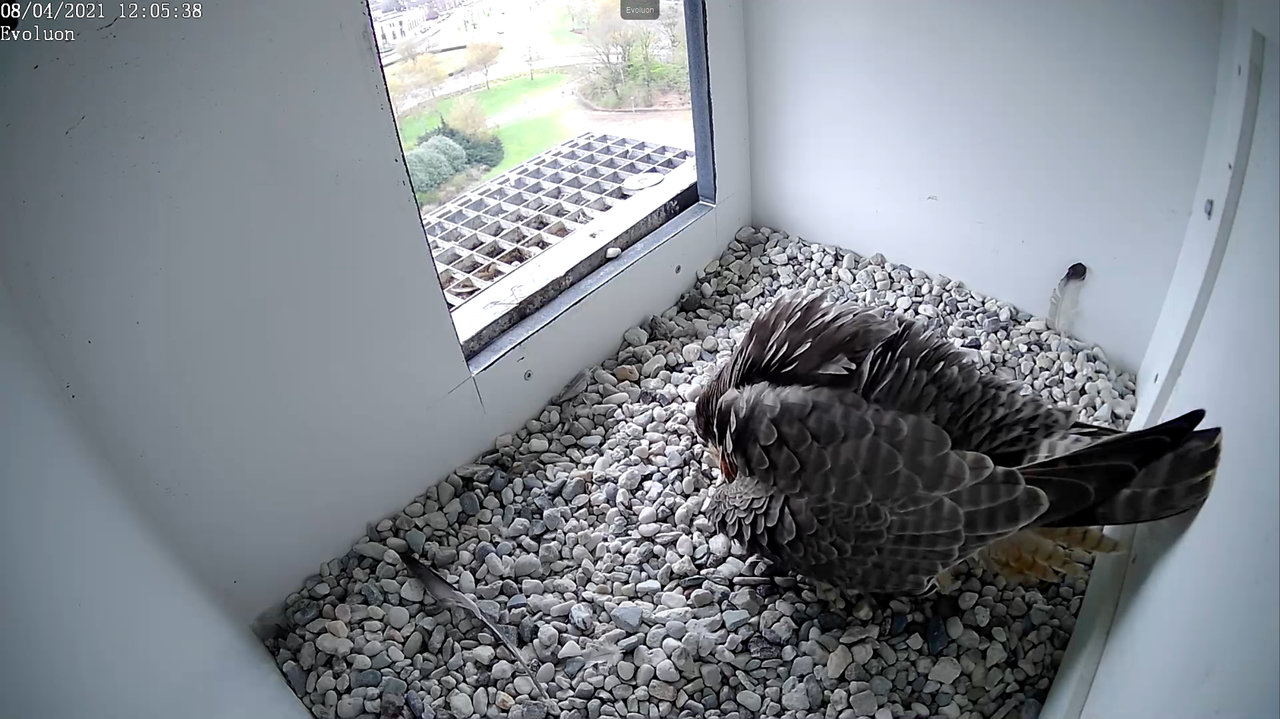 2021 04 08 12 05 45 — Postimages