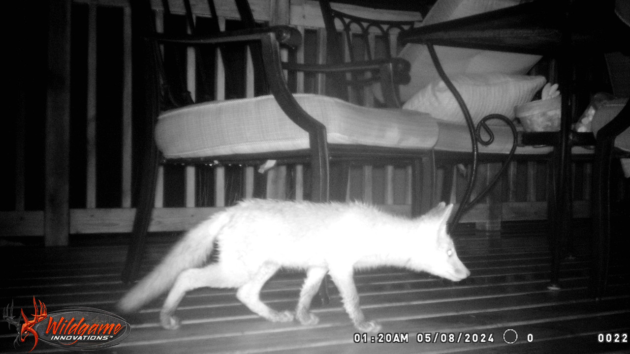 WGI 0022 — Postimages