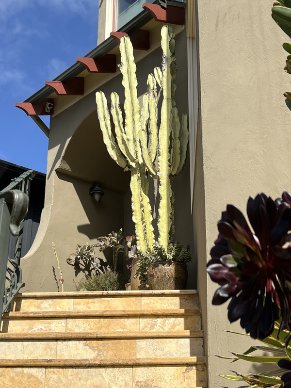 IMG 2014 — Postimages