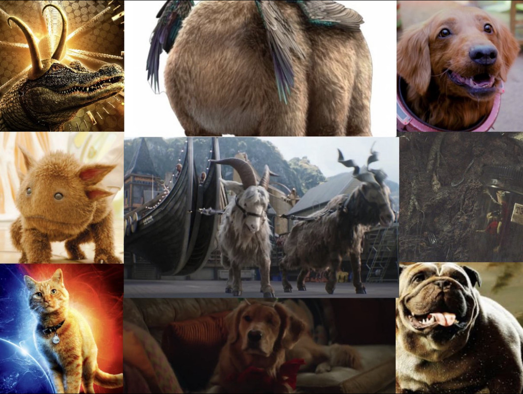 Favourite Marvel/MCU pets? - Blu-ray Forum