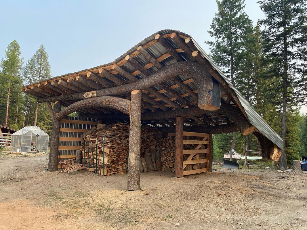 Nice use of Cull trees... - 24hourcampfire