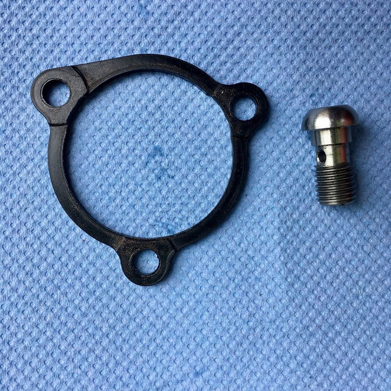 79389225 10220472602579361 3682495225510423102 o — Postimages