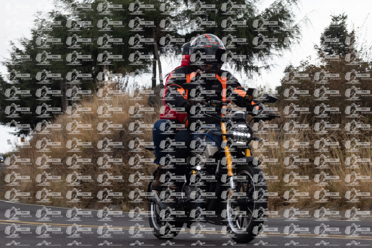 MG 0066 — Postimages