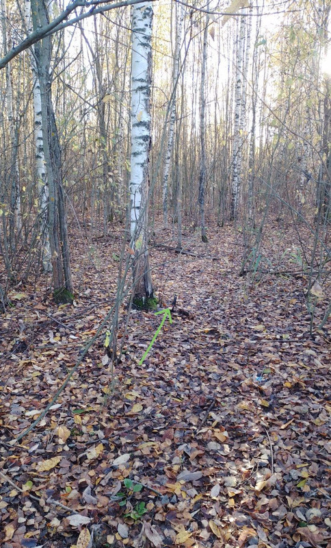 IMG 20221011 232656 651 — Postimages