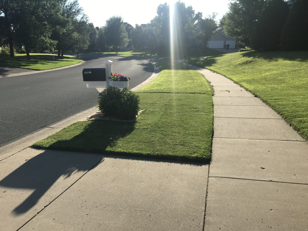 kainpj 2019 Lawn Journal - Mullet Lawn | Lawn Care Forum