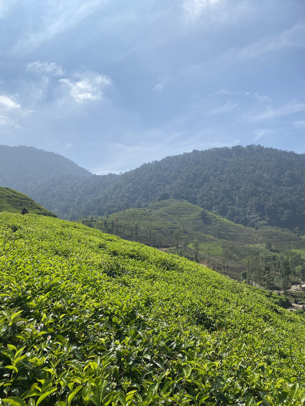 IMG 5152tika — Postimages