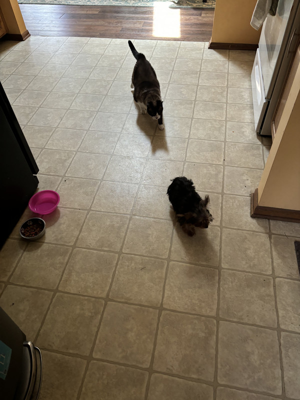 IMG 8168 — Postimages