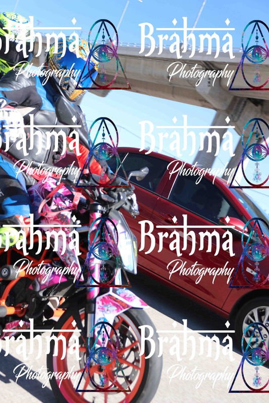 IMG 2101 — Postimages