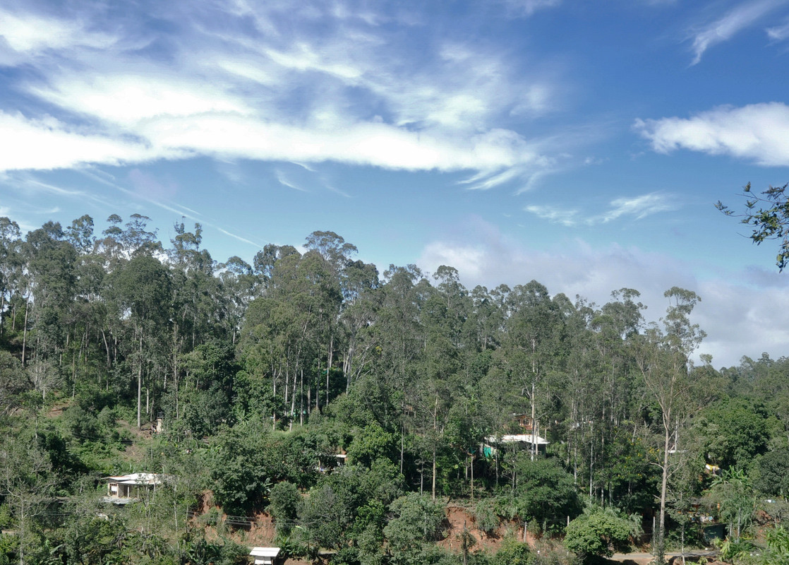 DSC 0868 — Postimages