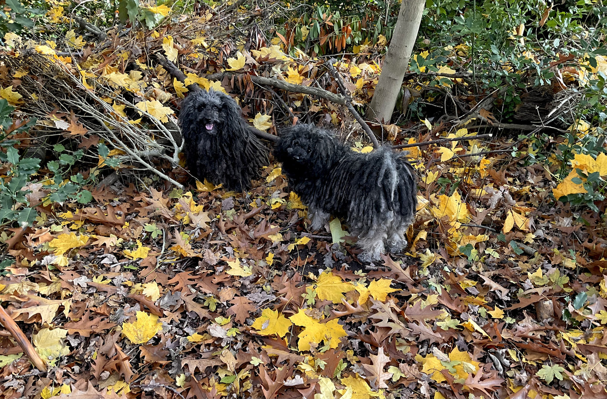 1 B3 D6 FA1 E4 DD 4 A26 8253 71 AB412 DD6 A3 — Postimages