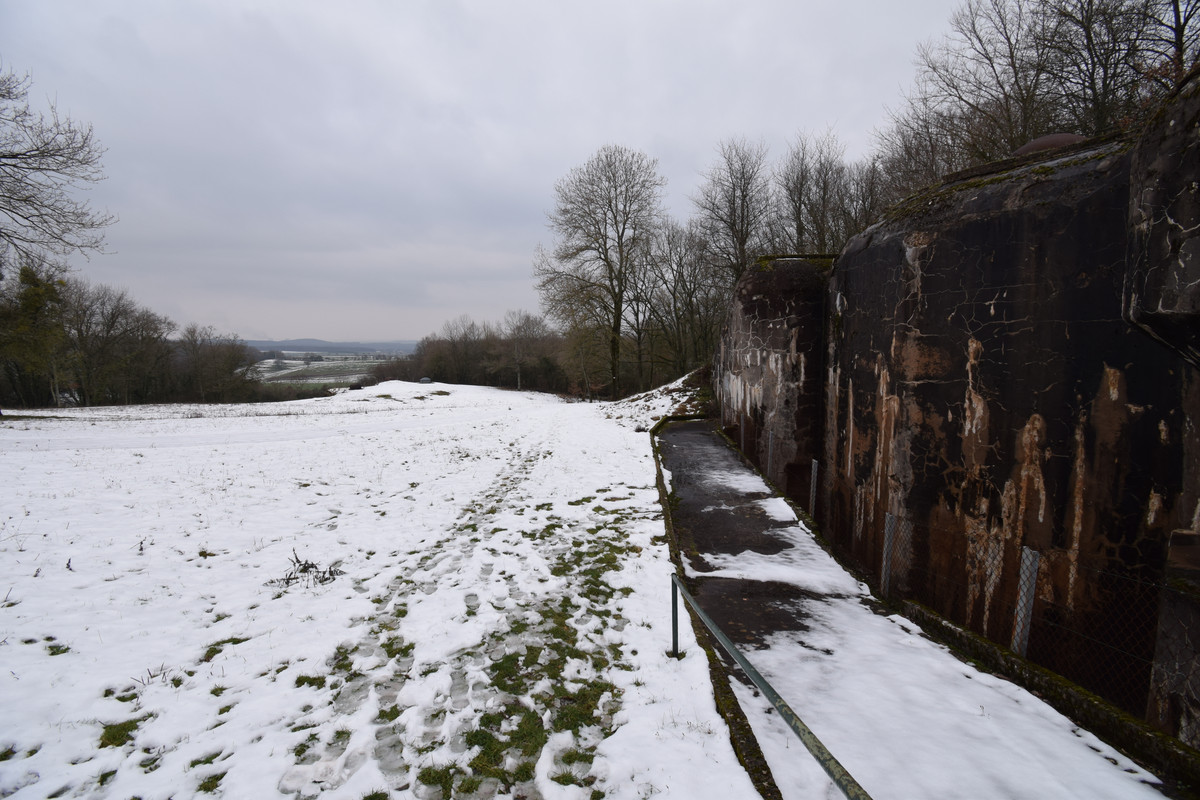 DSC 0588 — Postimages