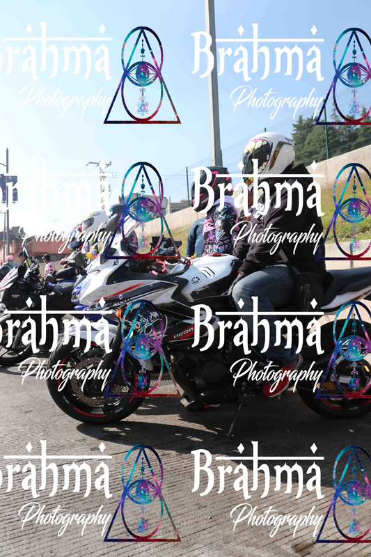 IMG 1529 — Postimages