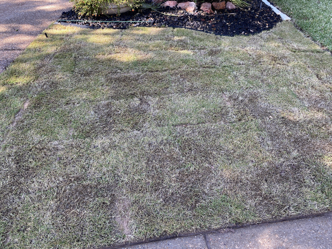 IMG 1979 — Postimages