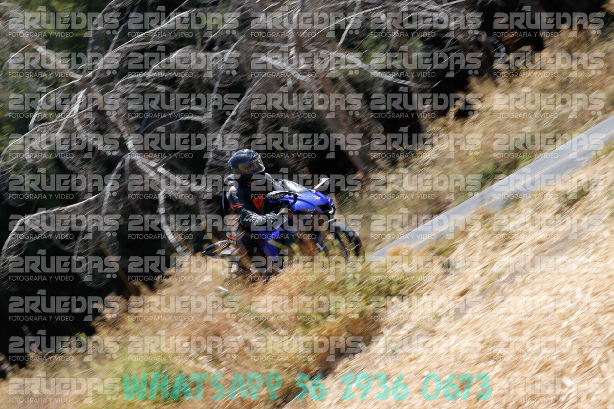 MG 0399 — Postimages