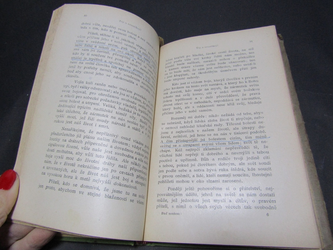 IMG 8031 — Postimages