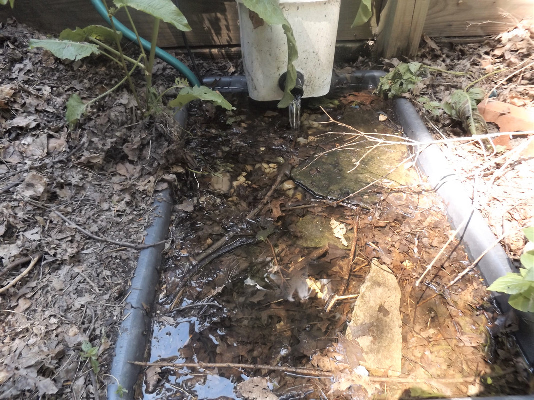 DSCF9441 (2) — Postimages