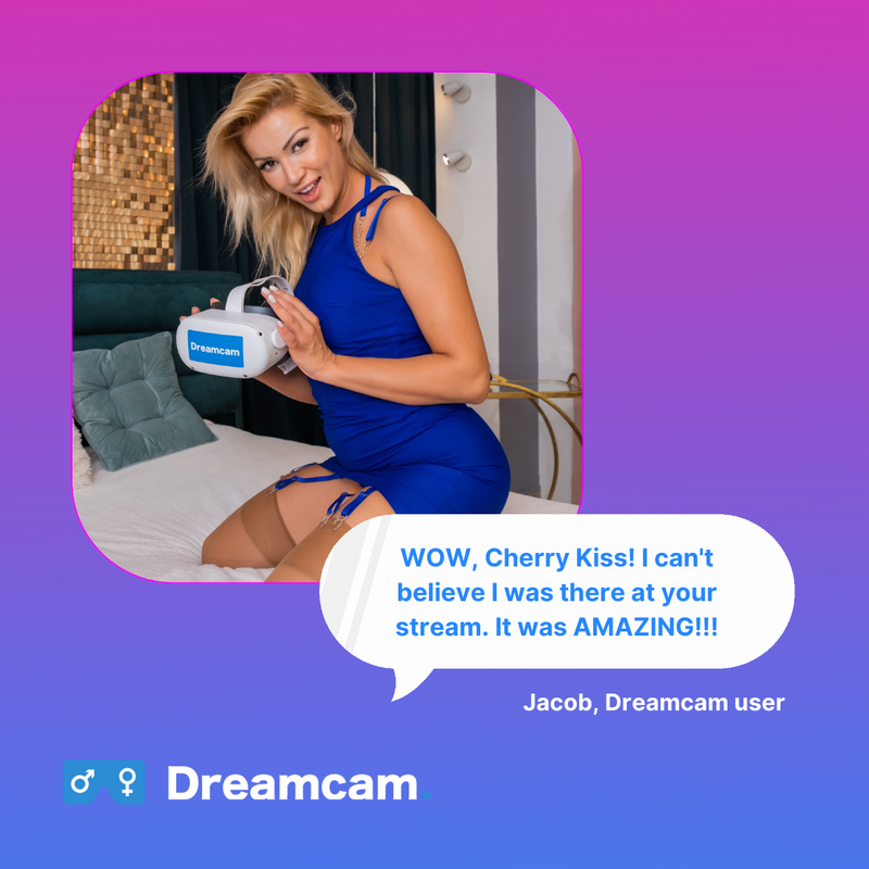 overview for Dream_cam_project