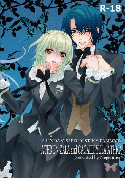 Gundam Seed Cagalli Athrun