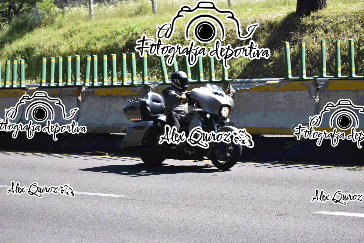 AVQ 8733 — Postimages