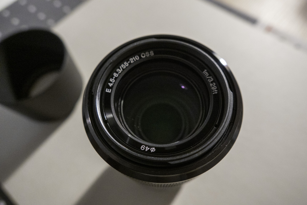 21022024 IMG 9951 — Postimages